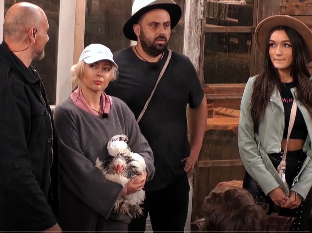 Cui i-au oferit bandiții dreptul la imunitate și cum a argumentat ...