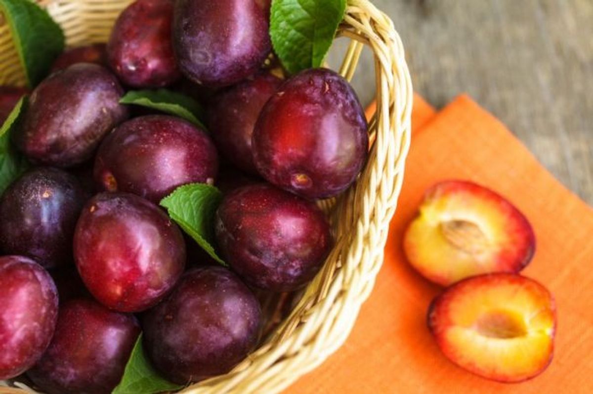 Delicii de toamna. Uite 3 retete cu prune bune de pus pe masa | PRO TV