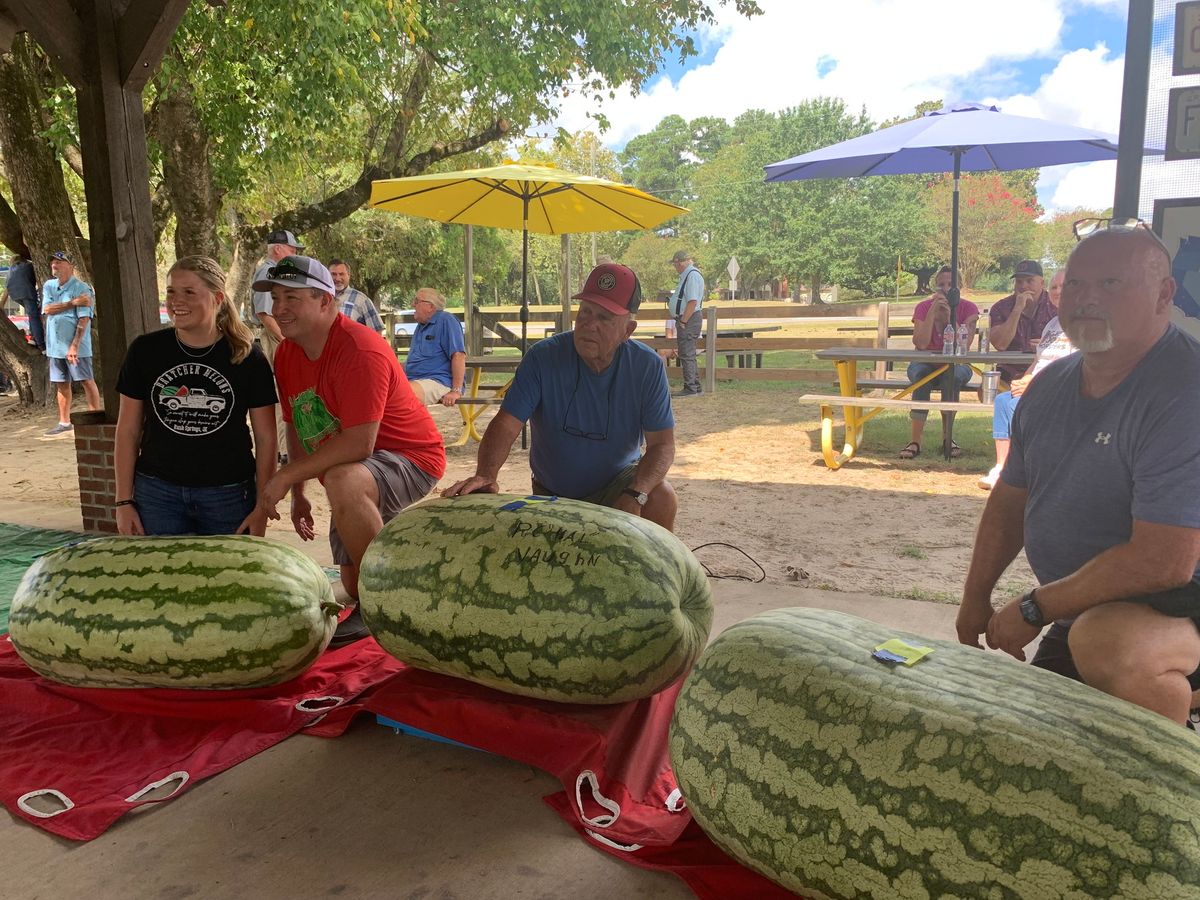 Record în grădină: Unde cresc cei mai mari pepeni din lume, de aproape ...