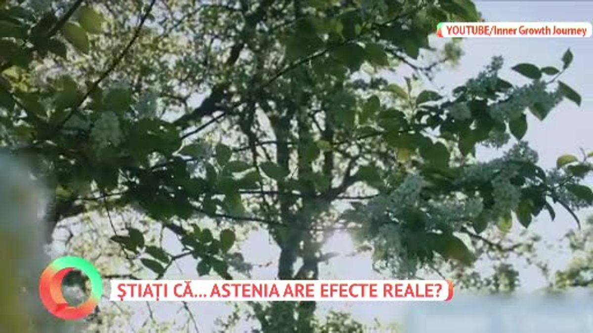 Știați că... astenia are efecte reale? | Scene si bonusuri din Vorbește ...