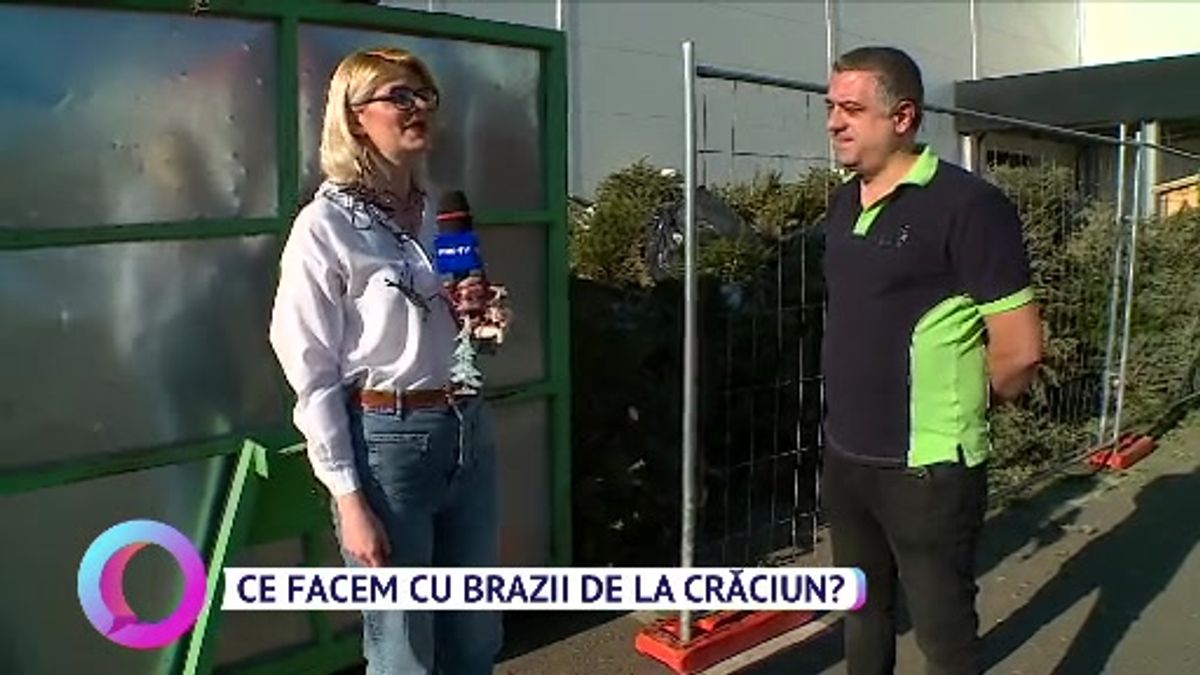 Ce facem cu brazii de Crăciun? | Scene si bonusuri din Vorbește Lumea ...