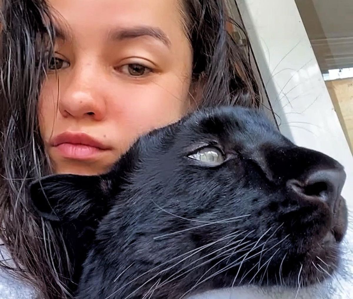 Cine este Victoria, fata care ține în casă o panteră. A devenit o ...