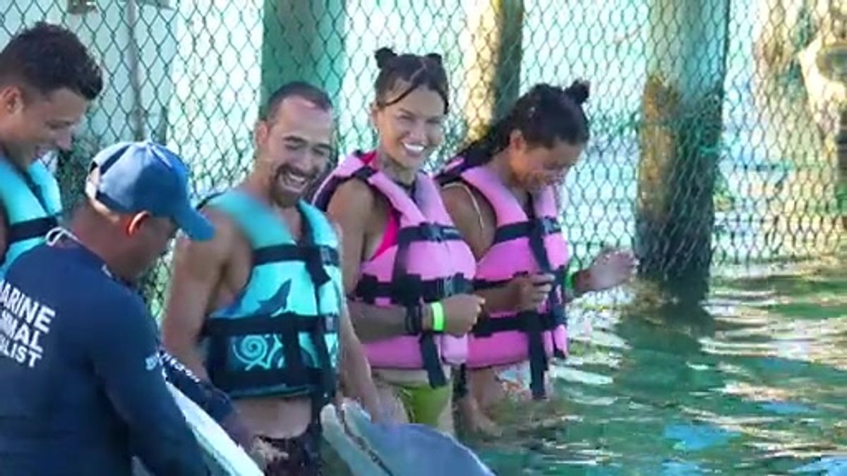 Raul, Vasile, Uwe și Diandra se bucură de recompensă la Survivor ...