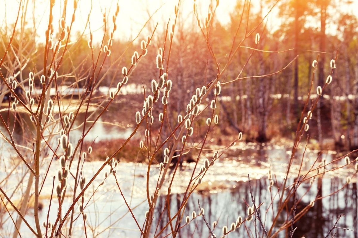 Prognoza meteo: Cum se anunță vremea pentru astăzi | PRO TV