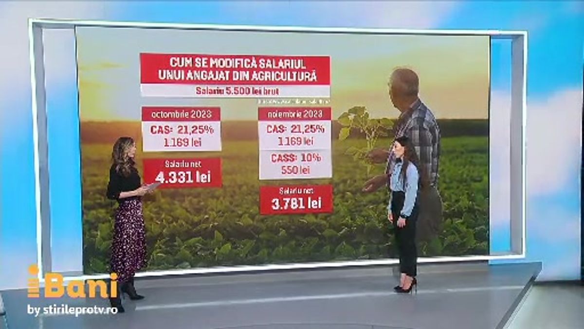 Episodul 85 din iBani | PRO TV