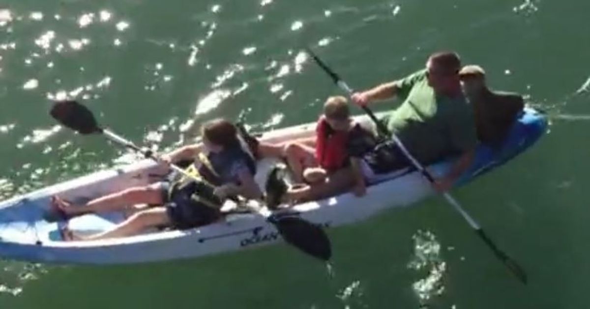 Ceea ce parea o simpla plimbare cu barca, s-a transformat intr-o mare ...