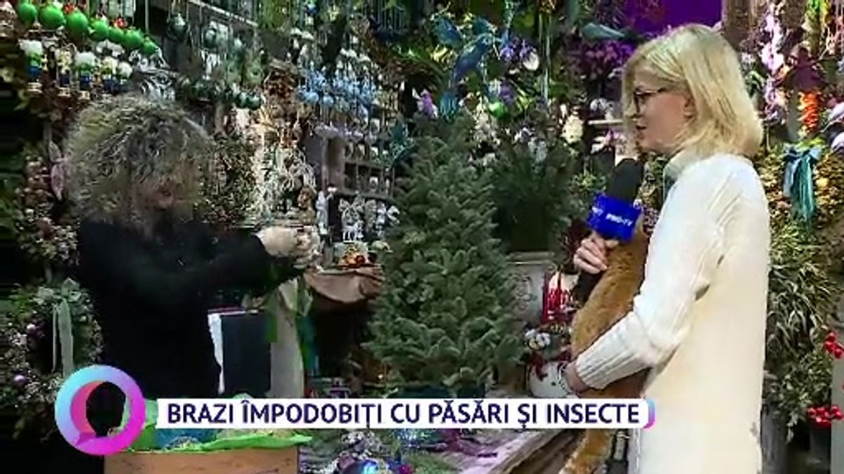 Brazi împodobiți cu păsări și insecte | Scene si bonusuri din Vorbește ...