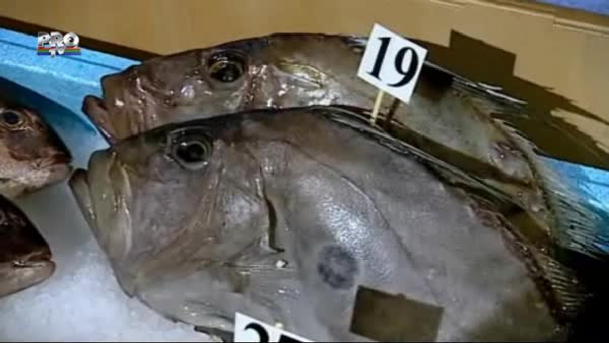 Bogdan Lupoiu vorbeste cu pestii | Scene si bonusuri din MasterChef ...