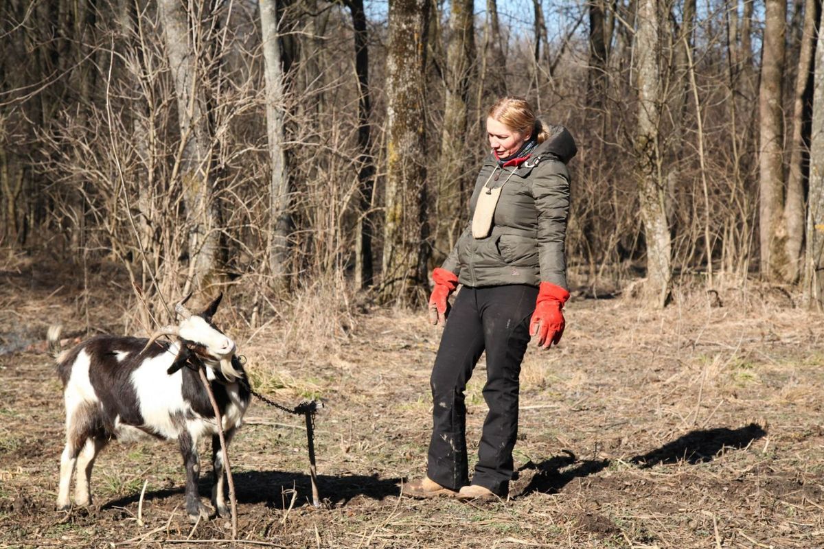 Momente tensionate la Ferma Vedetelor | PRO TV