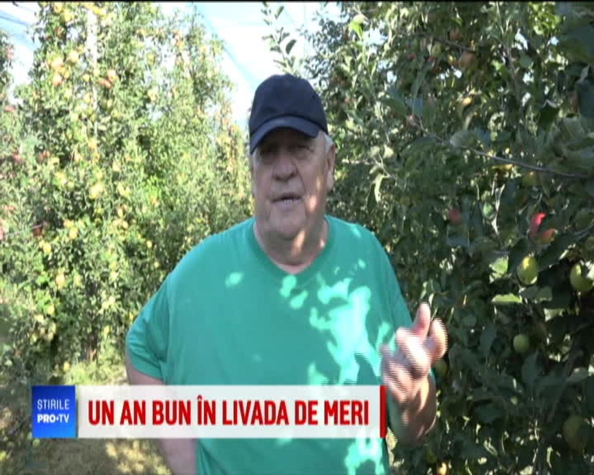 Un an bun în livada de meri | Scene si bonusuri din Știrile PRO TV | PRO TV
