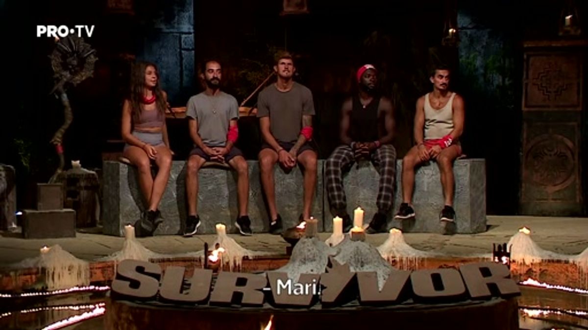 Domnul Dan a făcut anunțul! Cine sunt cei doi Tigri care au imunitate personală | Scene si ...