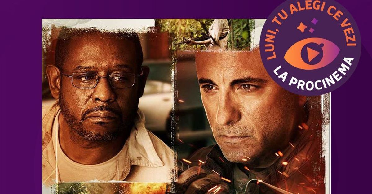 Campania „Alege filmul de luni, la PRO CINEMA!” s-a încheiat! Ce au ...