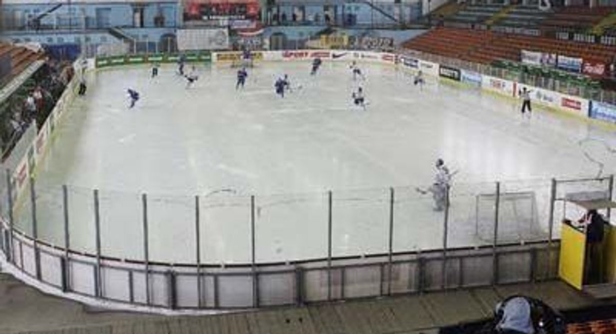 Noua Sala Polivalenta din Bucuresti va avea 16.000 de locuri!Cand va fi ...