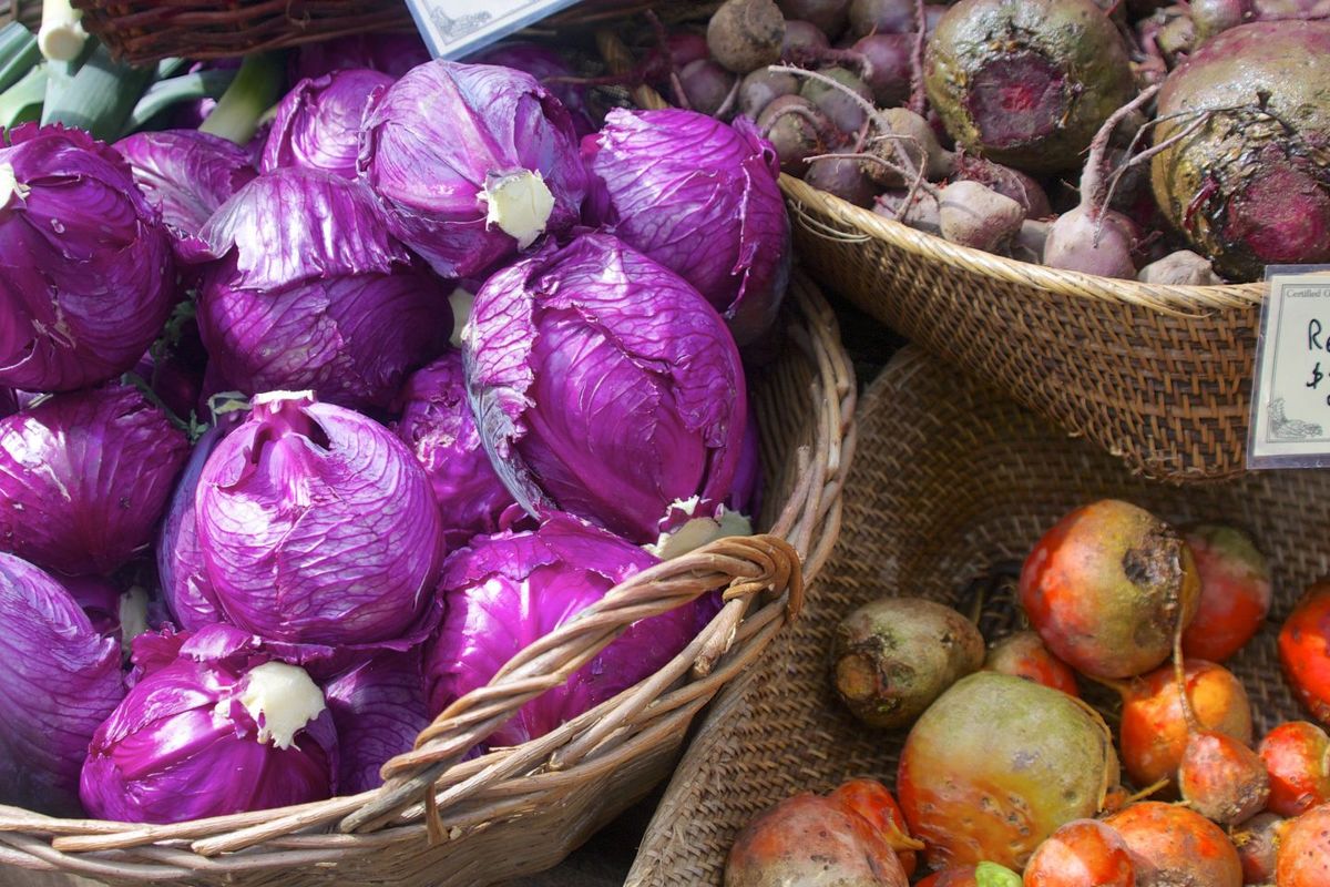 Afacerea de succes deschisa de un coreean la noi in tara. ”Romania este ...