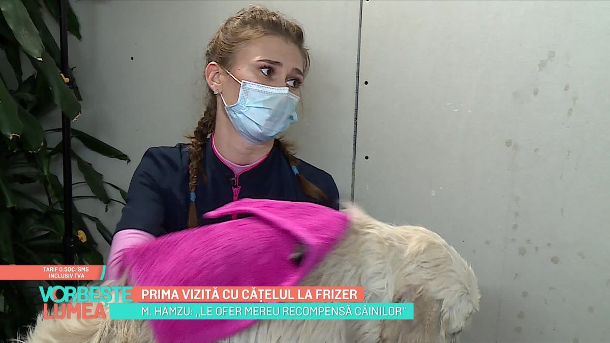 Prima vizită cu cățelul la frizer | Scene si bonusuri din Vorbește ...