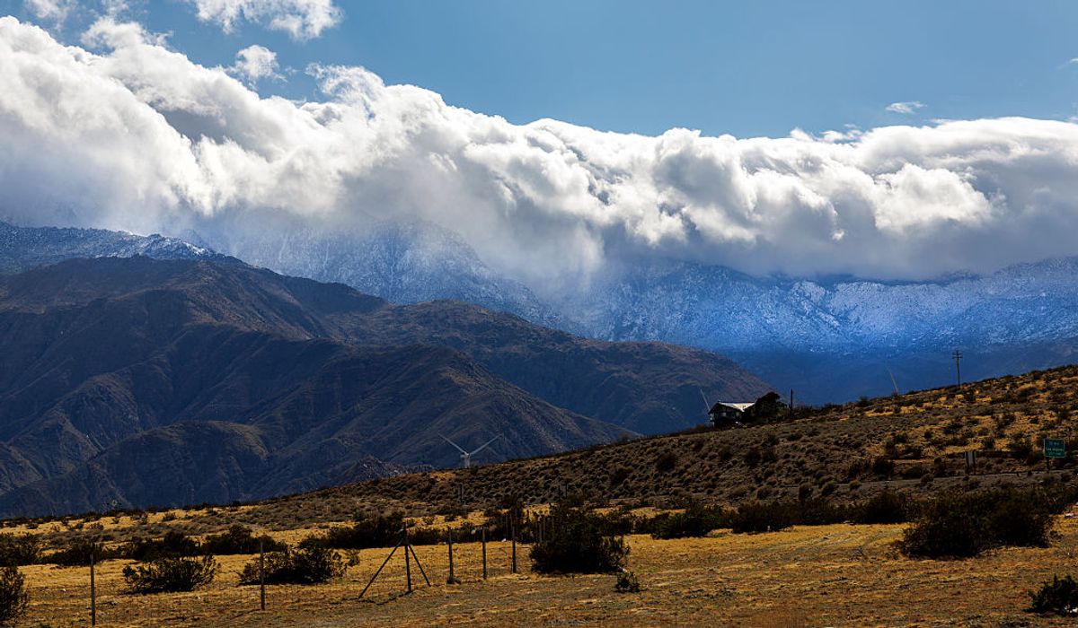 Locația secretă din SUA care „ascunde” o specie veche de 5.000 de ani ...