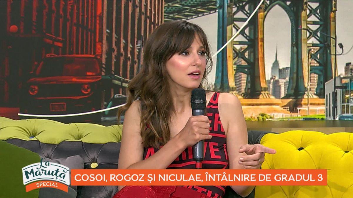 Cosoi, Rogoz și Niculae, întâlnire de gradul 3 | Scene si bonusuri din ...