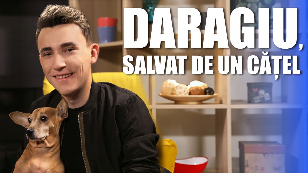 Daragiu, salvat de un cățel la vârsta de 7 ani! Povestea lui în Viața Bate Vlogul 2 | PRO TV