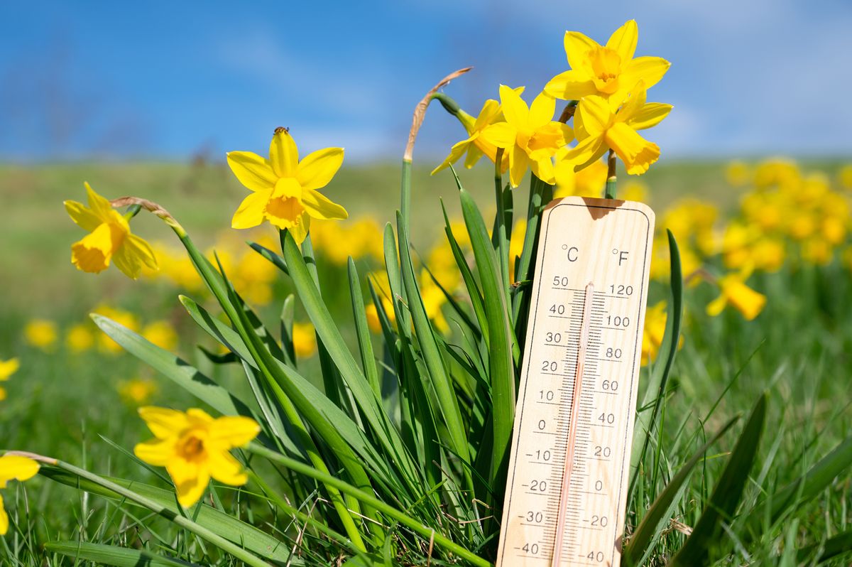 Temperaturi neobișnuit de ridicate la începutul primăverii 2026. Cât de ...