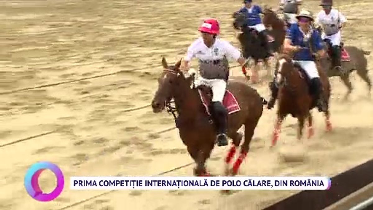 Prima competiție internațională de polo călare, din România | Scene si ...