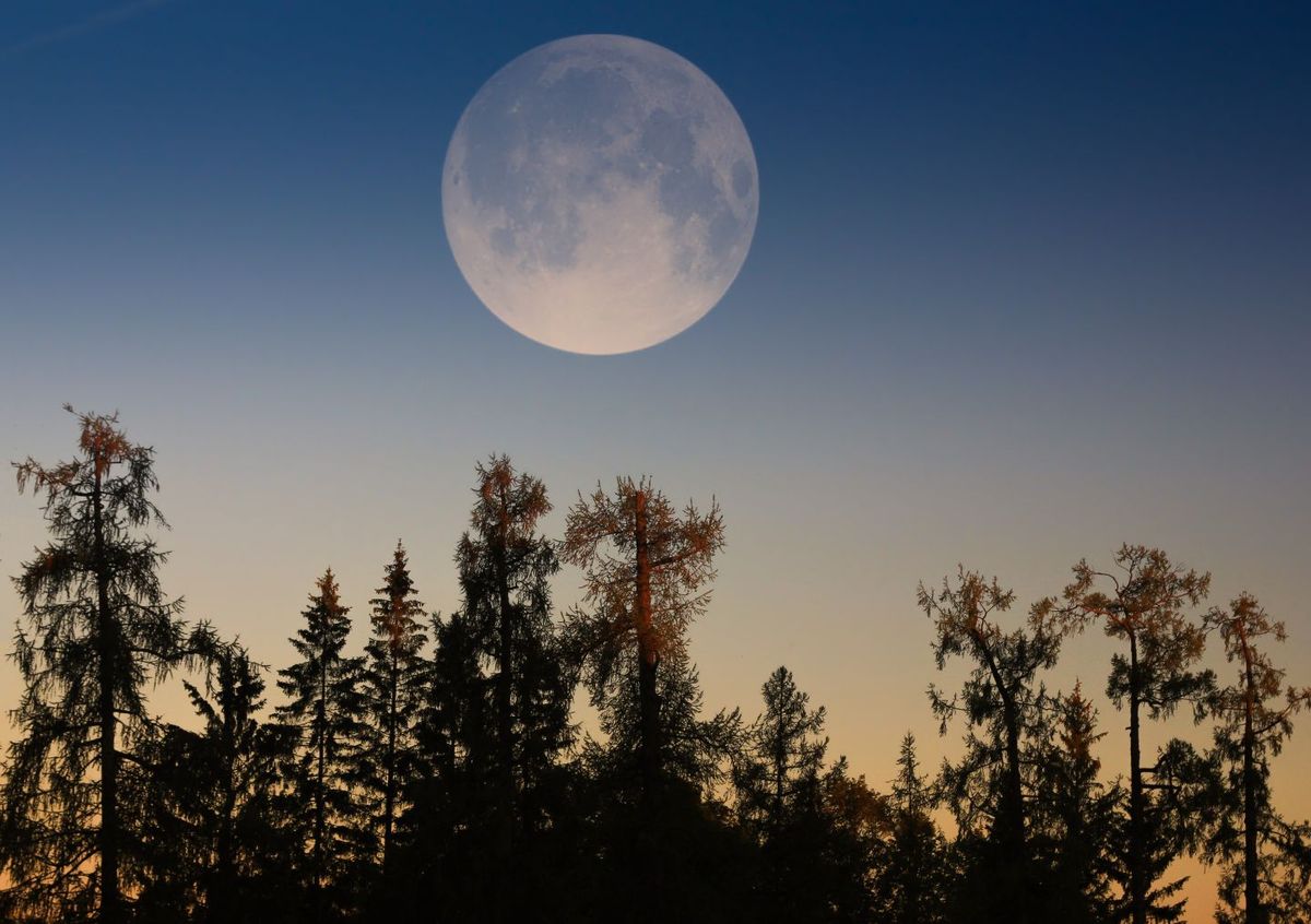 Fenomen rar: Super Luna, cea mai stralucitoare si mai mare luna din ...