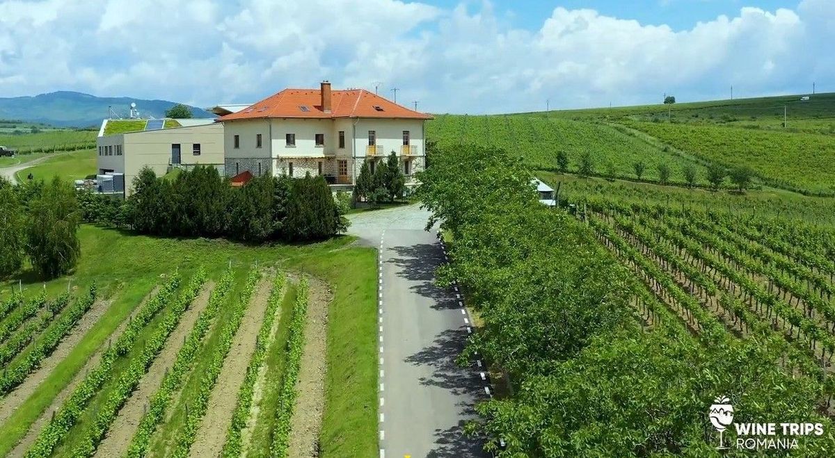 Wine Trips România | Pe drumul vinului românesc la Crama LacertA | PRO TV