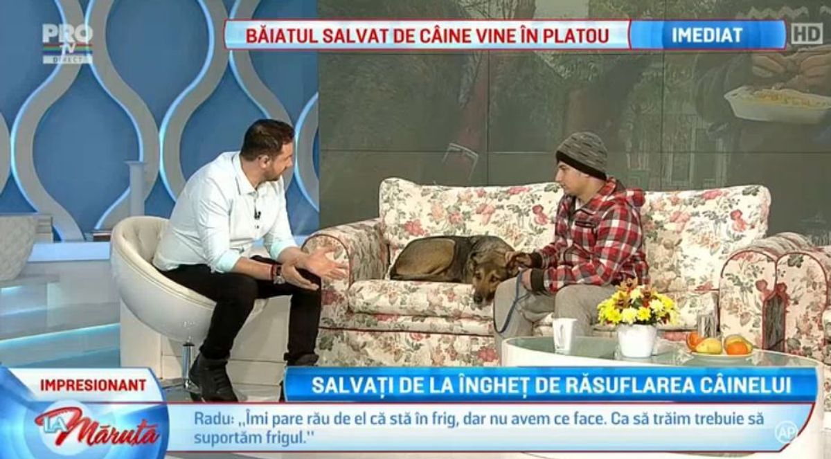 Salvati de la inghet de rasuflarea cainelui. Surpriza primita de ...