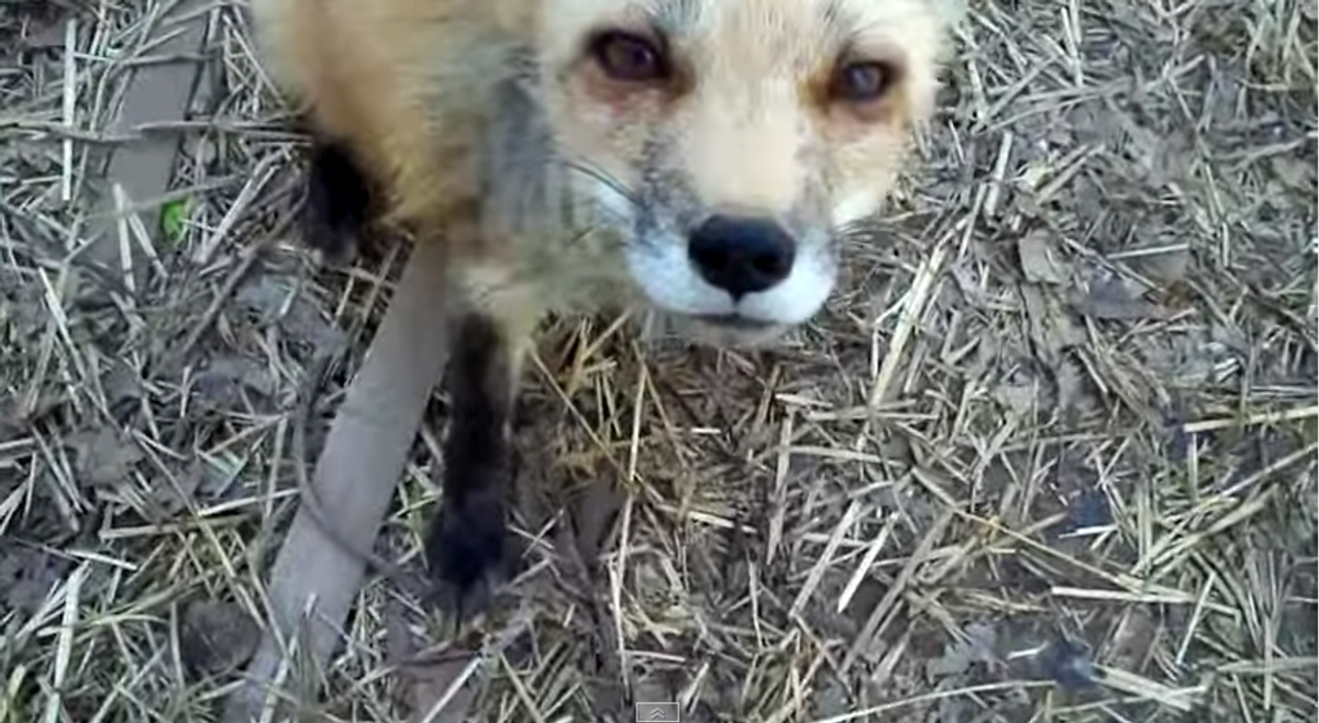 Toata lumea si-ar fi dorit sa vada asta. Ce s-a intamplat cand un tata ...