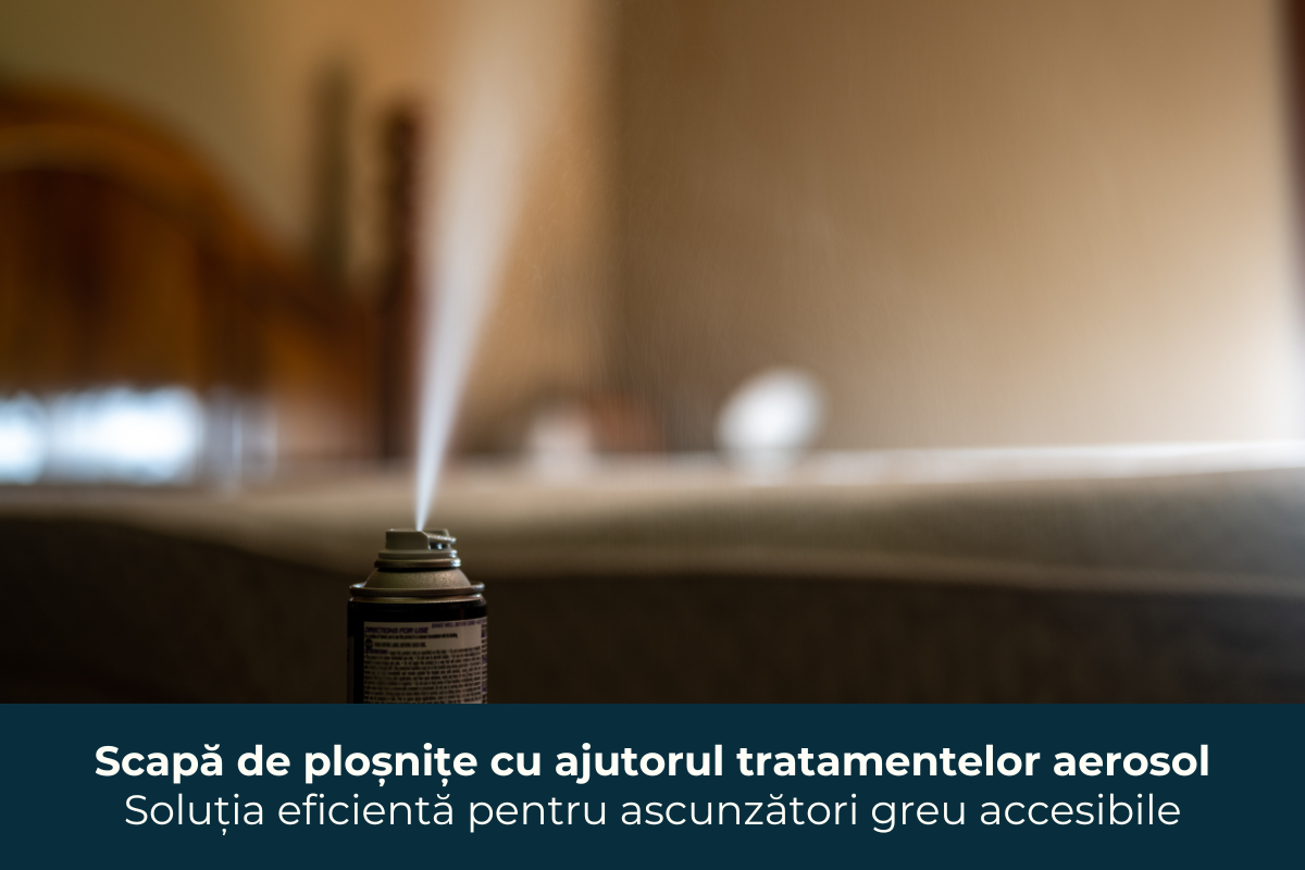 (P) Scapă de ploșnițe cu ajutorul tratamentelor aerosol – soluția ...