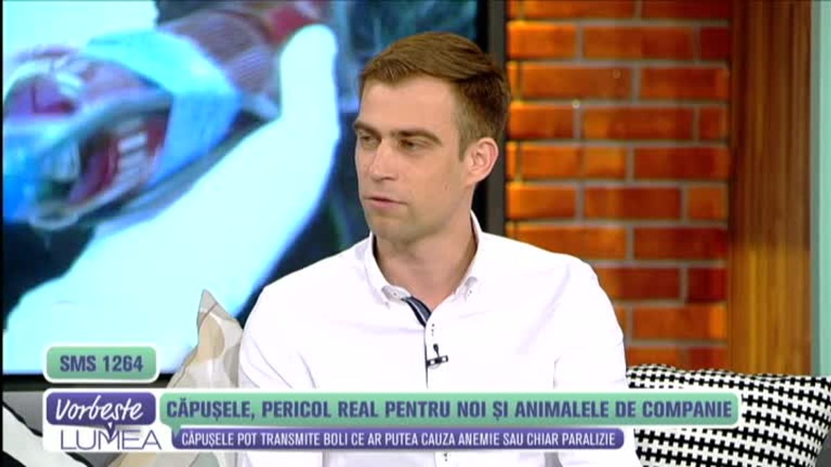 Capusele, pericol real pentru noi si animalele de companie | Scene si ...