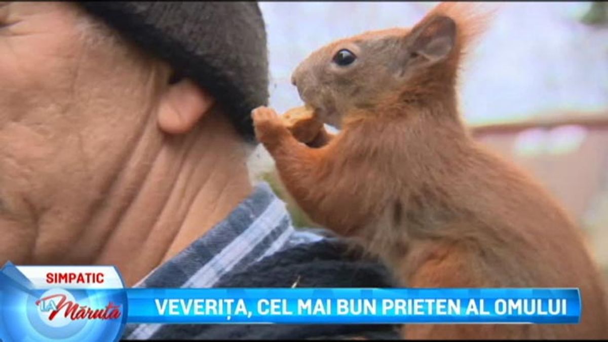 Veverita, cel mai bun prieten al omului | Scene si bonusuri din La ...