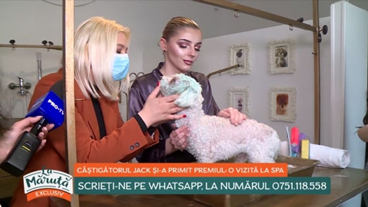 Câștigătorul Jack și-a primit premiul: O vizită la SPA | Scene si ...