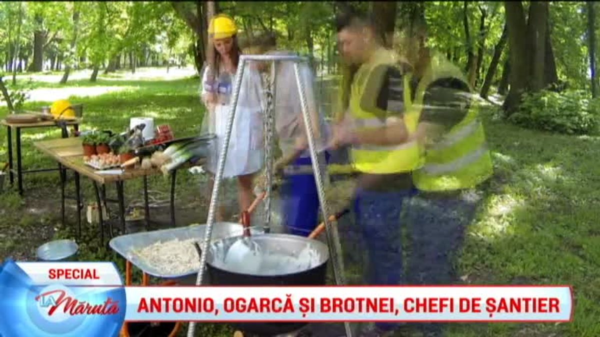 Antonio, Ogarca si Brotnei, Chefi de santier | Scene si bonusuri din La ...
