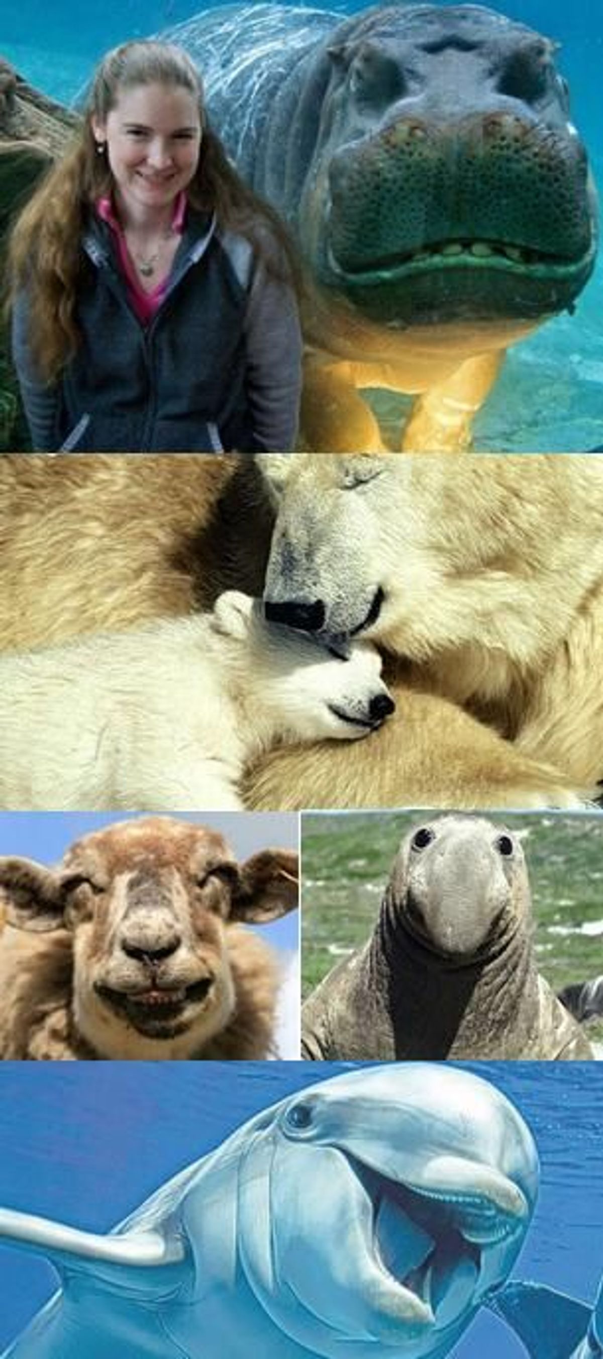 Cine a spus ca animalele nu au simtul umorului!?! FOTO | PRO TV