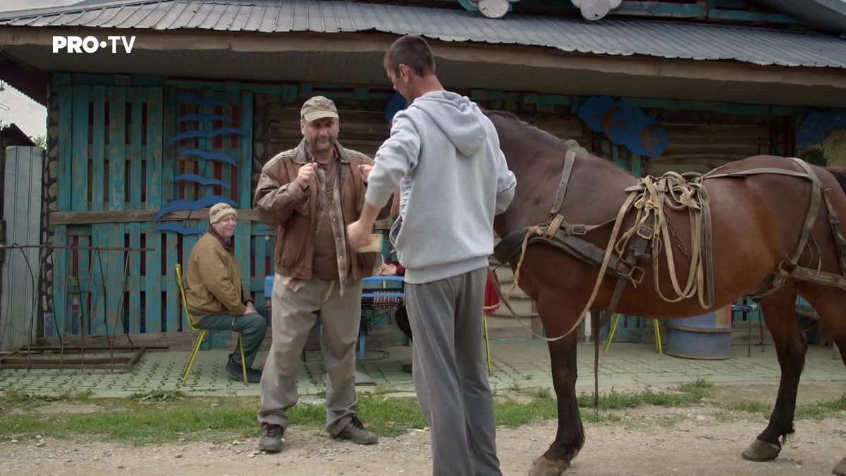 Brânzoi plânge după cal... i l-a vândut Celentano pentru băutură ...