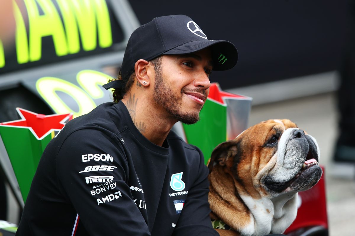 Câinele lui Lewis Hamilton, Roscoe, a murit. Pilotul de Formula 1 este ...