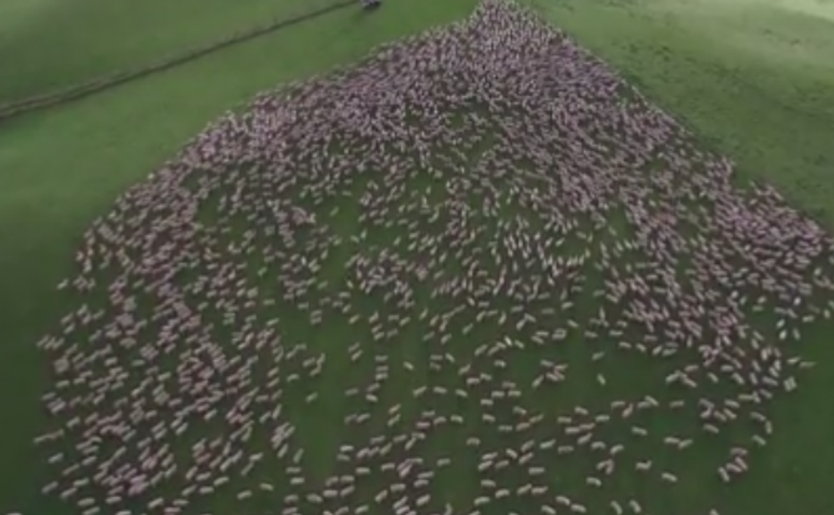 Este incredibil! Filmarea care te va lasa fara respiratie. Ce se ...