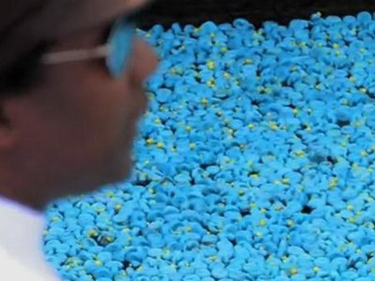 N-ai mai vazut asa ceva niciodata! 250.000 de rate albastre au invadat ...