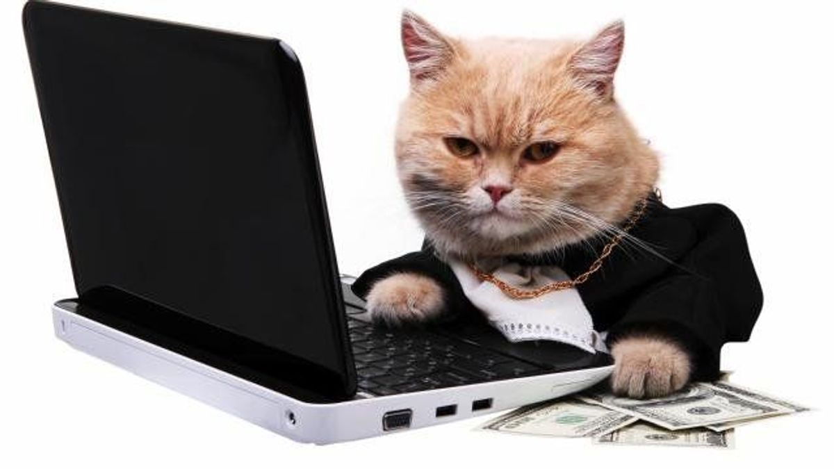 Pisoiul care face de rusine traderii de profesie. Se pricepe mai bine ...