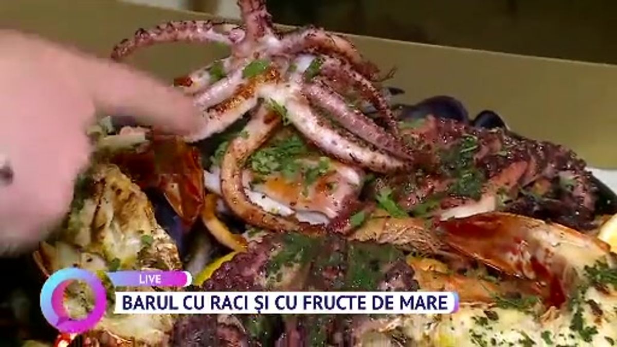 Barul cu raci și fructe de mare | Scene si bonusuri din Vorbește Lumea ...
