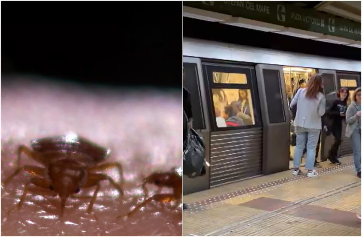 Ploșnițele au invadat metroul din București. Călătorii ar putea pleca ...
