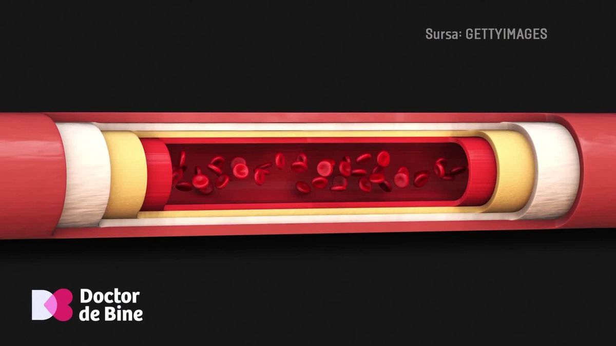 Doctor de bine - De ce este important să ne construim sistemul imunitar ...