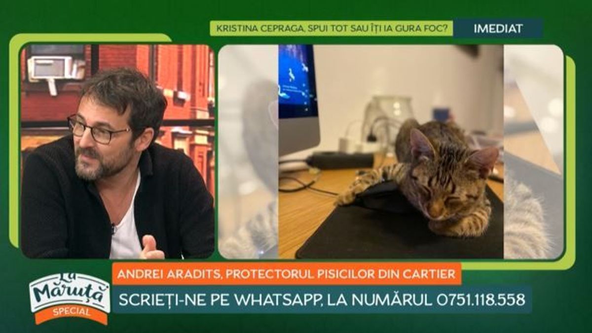 Andrei Aradits: "Am 5 pisici! Sincer, eu cred că asta cu castrarea și ...