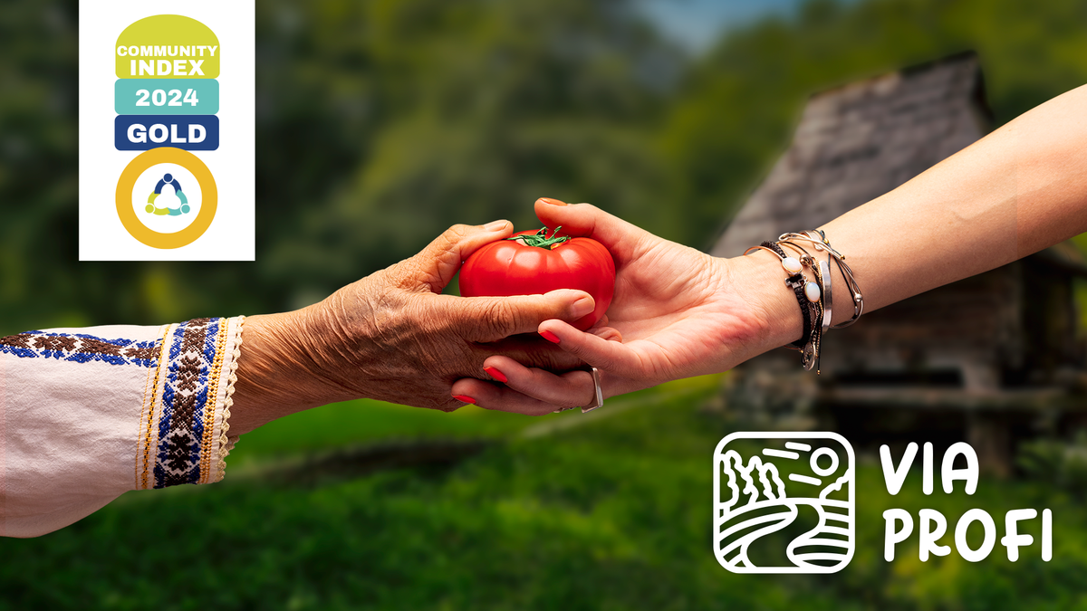 (P) Via Profi primește cea mai importantă recunoaștere pentru ...