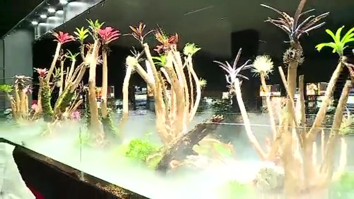 Singura expoziție din România cu reptile și plante tropicale | Scene si ...