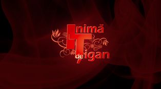 Inimă de țigan | PRO TV