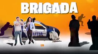 Brigada Nimic | PRO TV