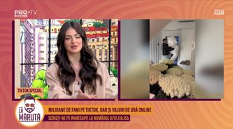 Groapa | PRO TV
