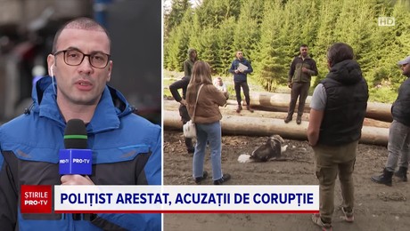 Dunarea, poluata masiv de o ferma de porci! - Stirileprotv.ro